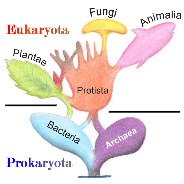 转座子实验室 – 探索生物进化中的创新元素